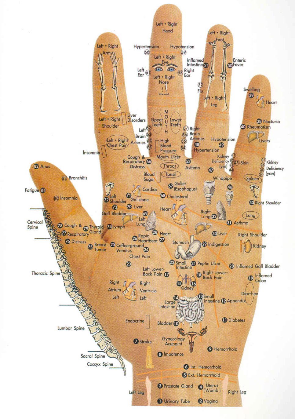 Acupressure